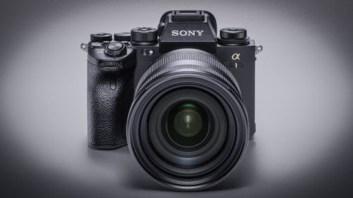 A full-frame 12K FX8 cine powerhouse? Bring it on, Sony! | Digital ...