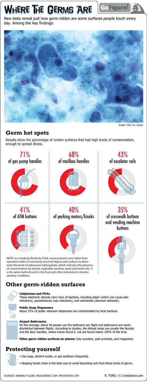 Germs Really Are Everywhere (Infographic) | Live Science