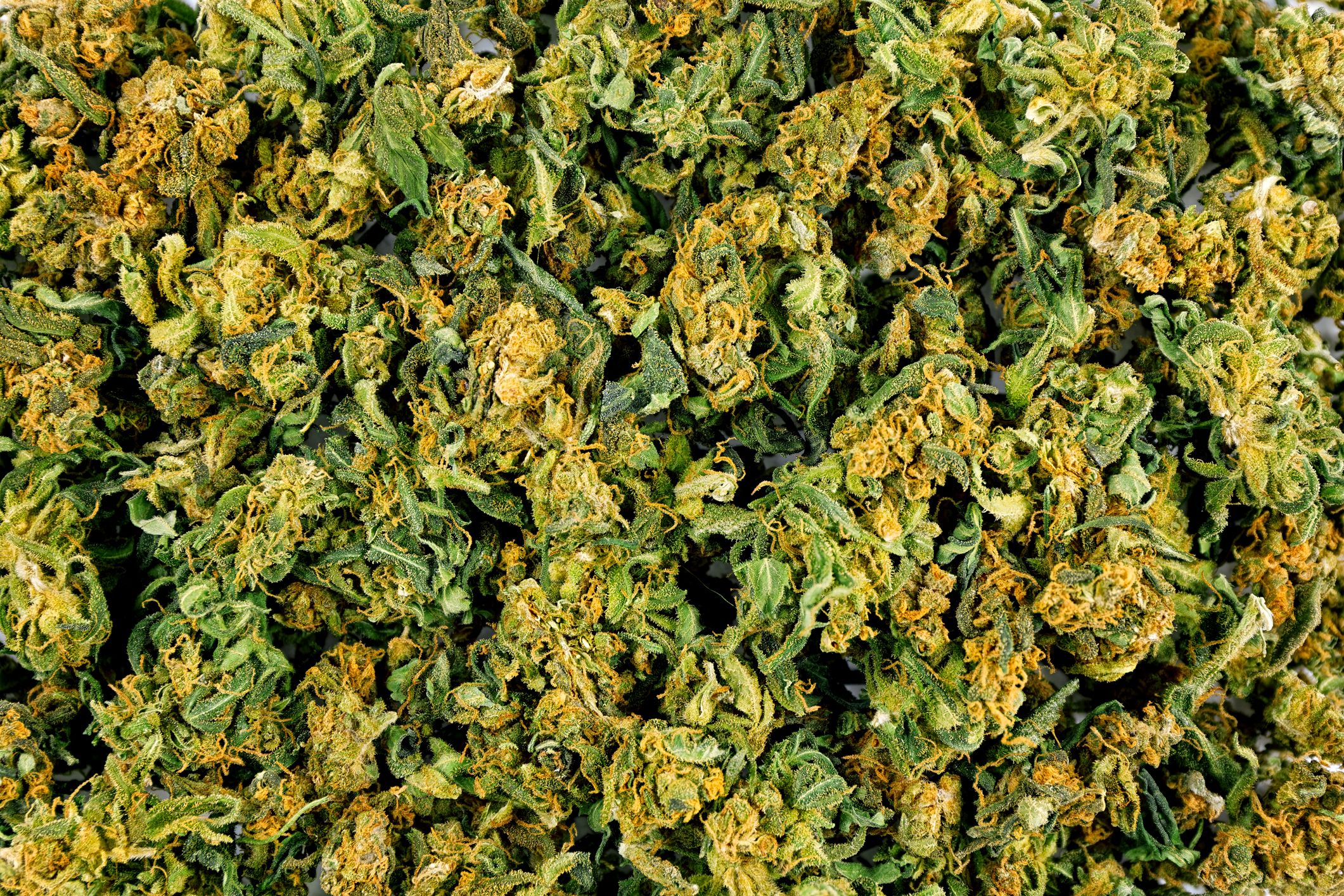 Slow your roll on legal weed | The Week