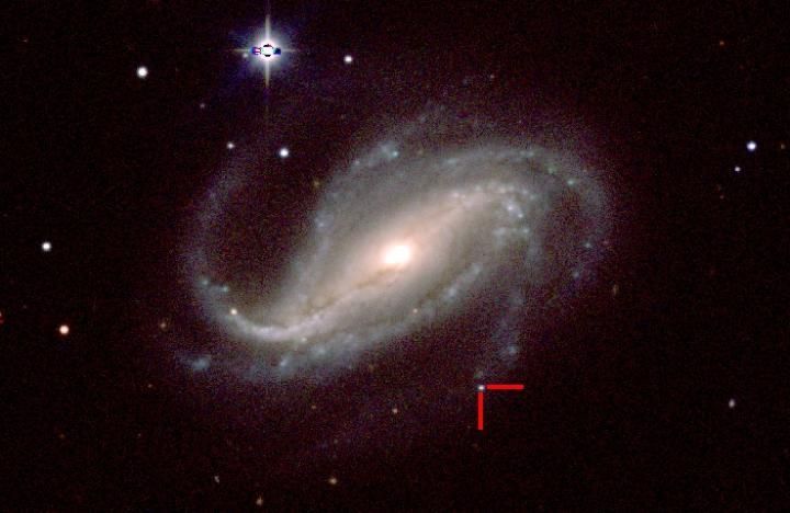 The World's Luckiest Photographer May Have Proved Astrophysicists Right ...