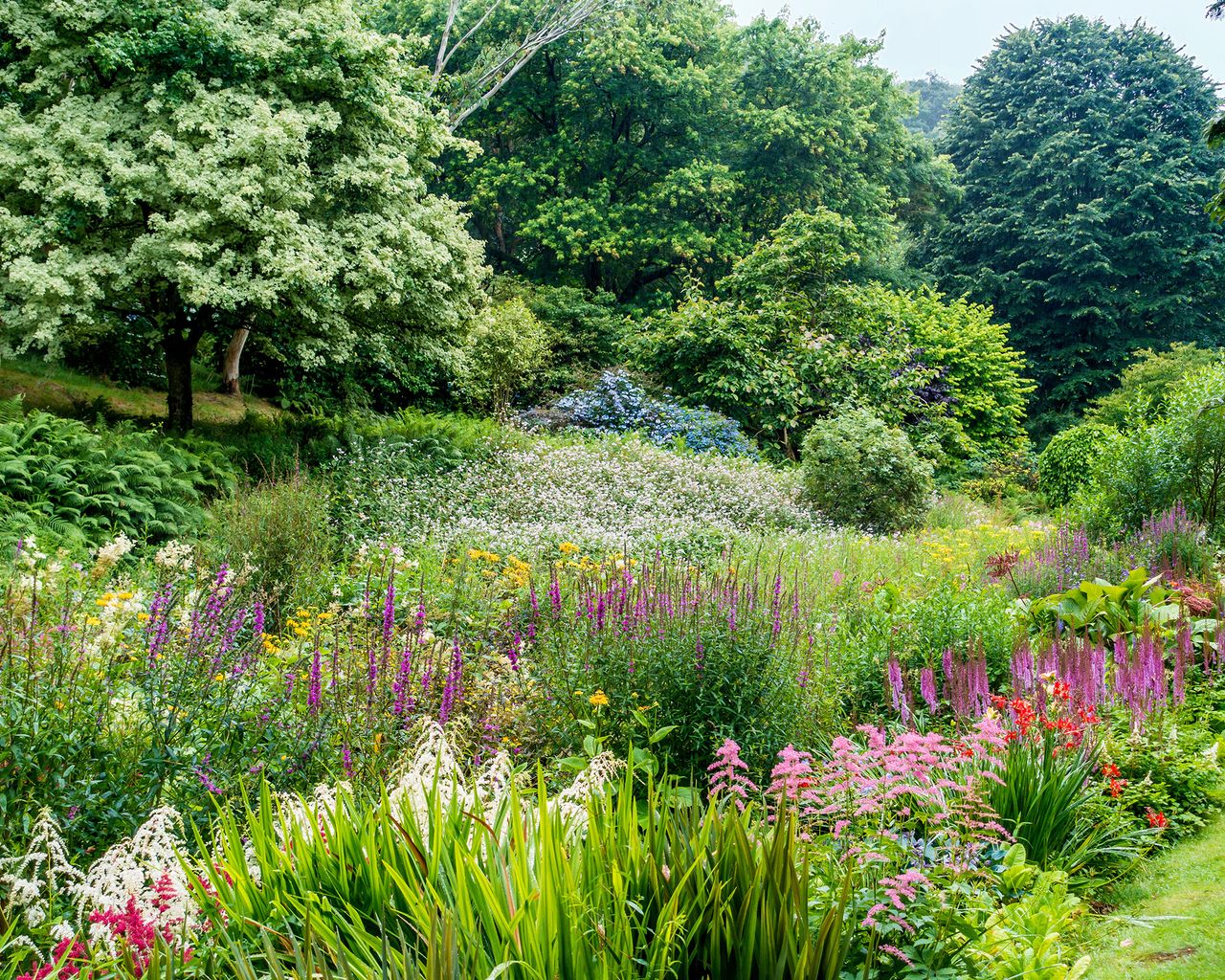 Bog gardens: expert advice on how and where to create one | Gardeningetc