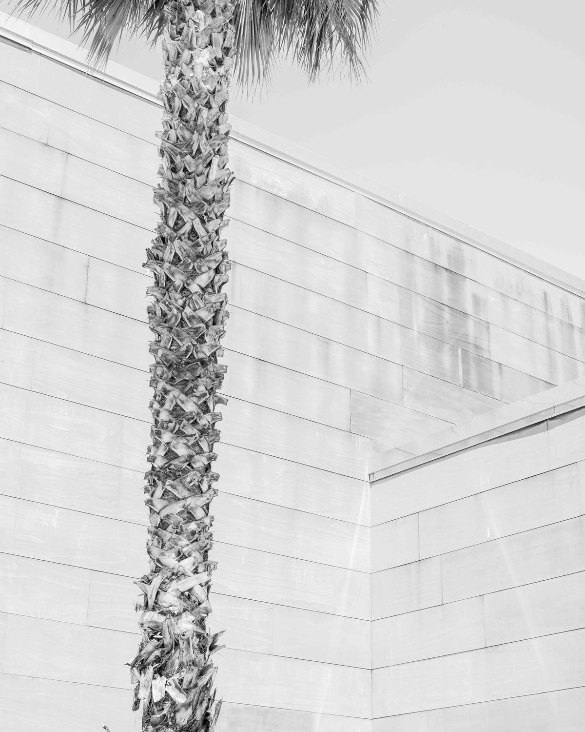 The art of seeing: #1 How and why I take photographs | Digital Camera World