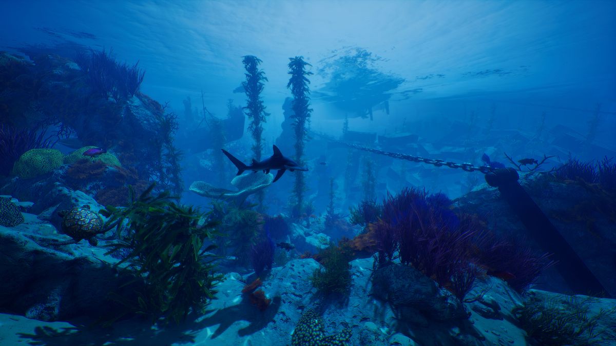 Maneater hands-on: Grow from adorable shark pup to adorable shark ...