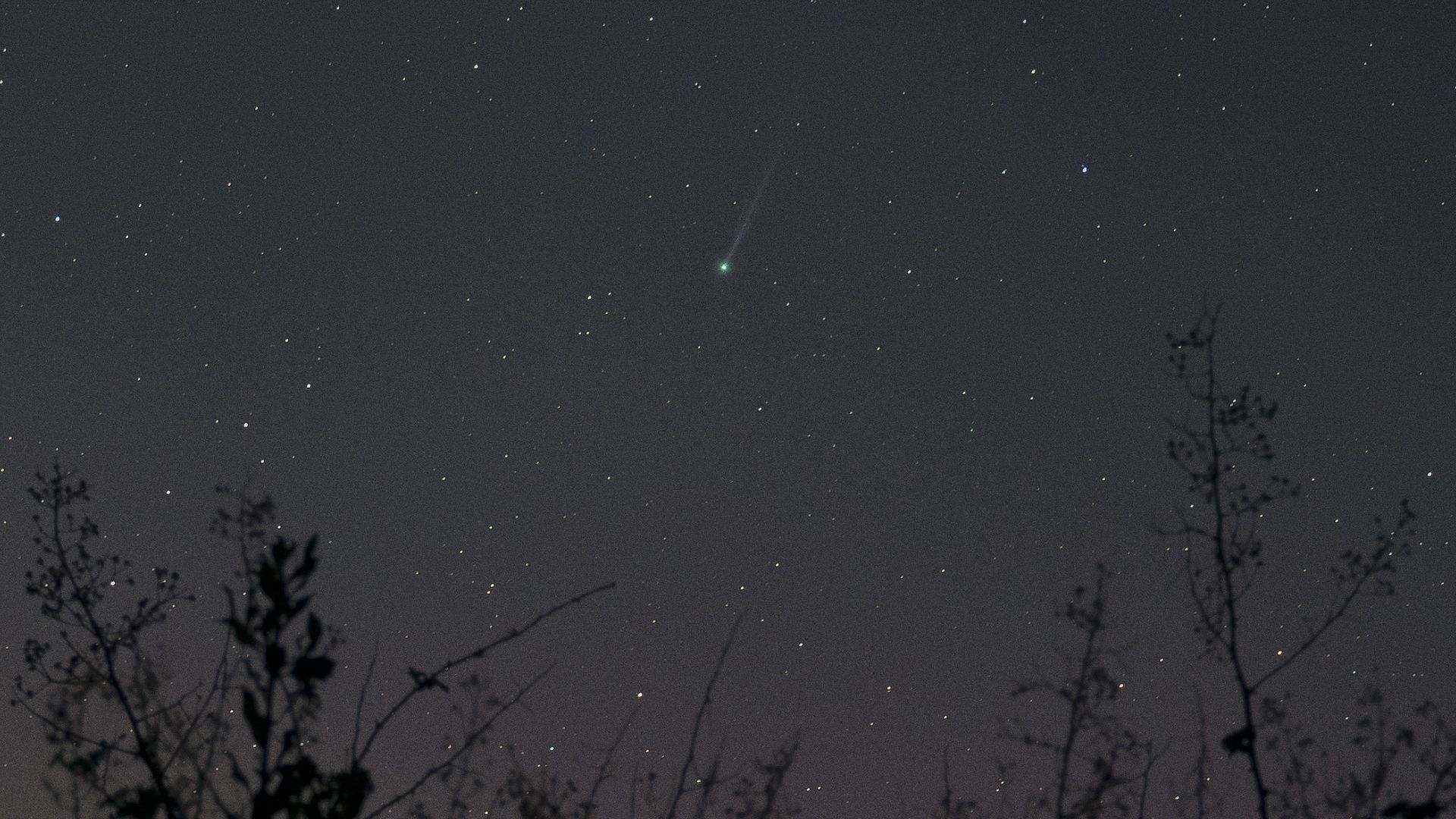 Newly discovered Comet C/2025 F2 (SWAN) captured in stunning photo blazing across UK skies | Space