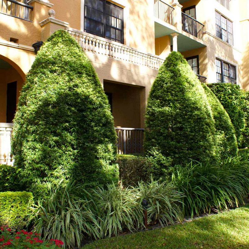 New study reveals the best trees for reducing air pollution | Homes and ...