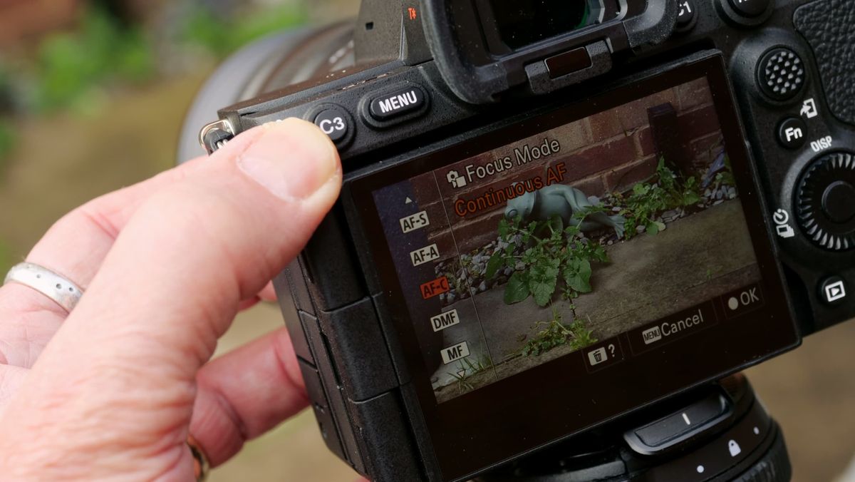 Sony A7R V review | Digital Camera World