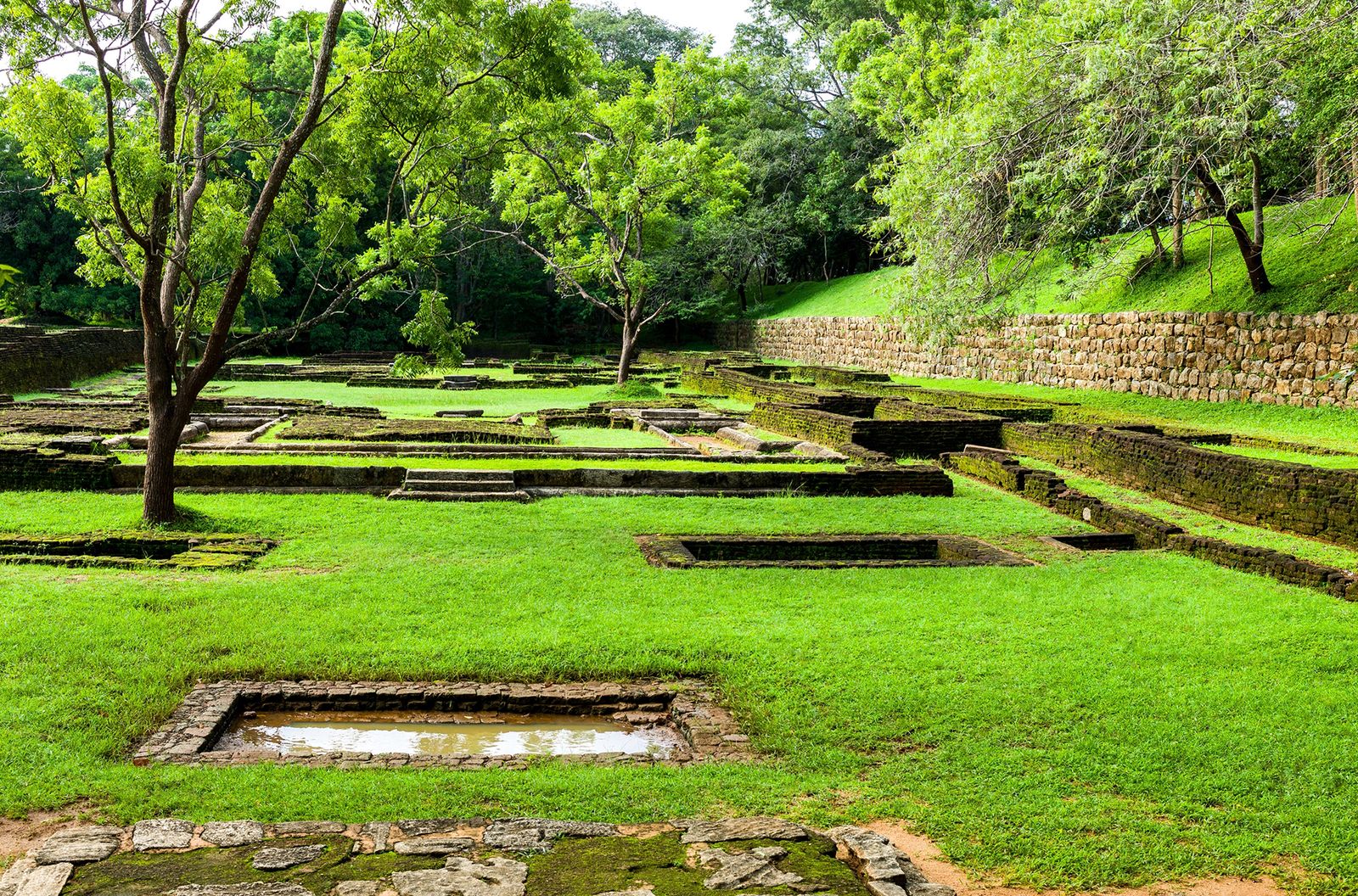 Moss garden: a guide to growing moss in your garden | Homes and Gardens