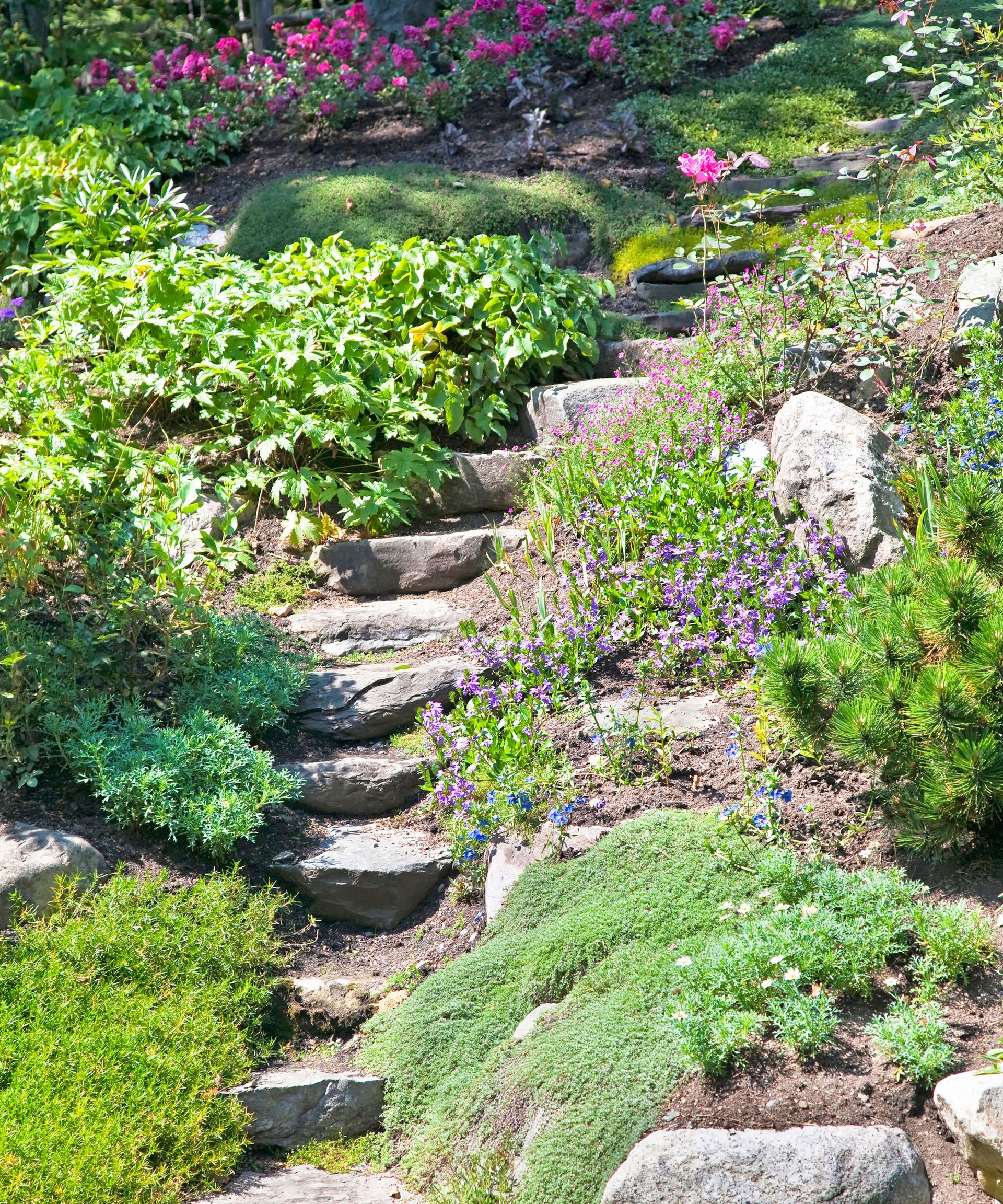 Garden steps ideas: 11 ways to level up your plot | Homes and Gardens
