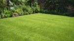 Turf experts reveal how to fix an overgrown lawn in 4 steps | Homes and ...