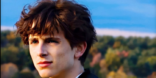 The Batman Fan Art Imagines Timothee Chalamet As Robin | Cinemablend