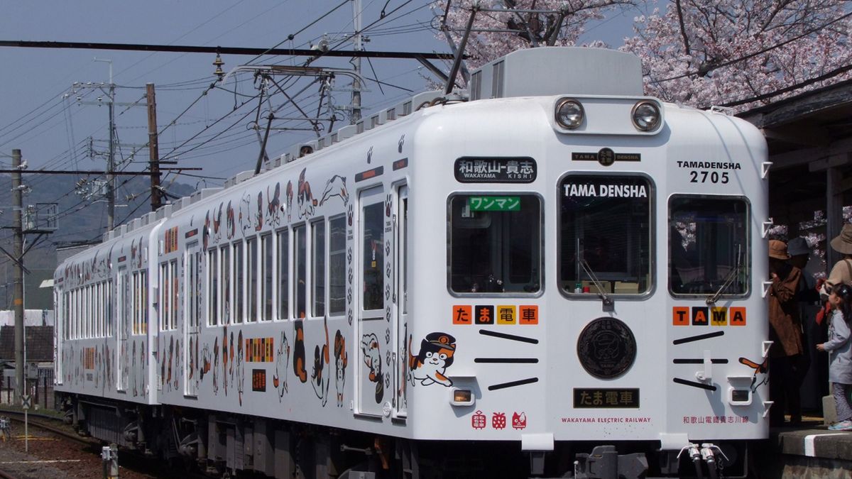 The fascinating history of Japan's railway station cats | PetsRadar