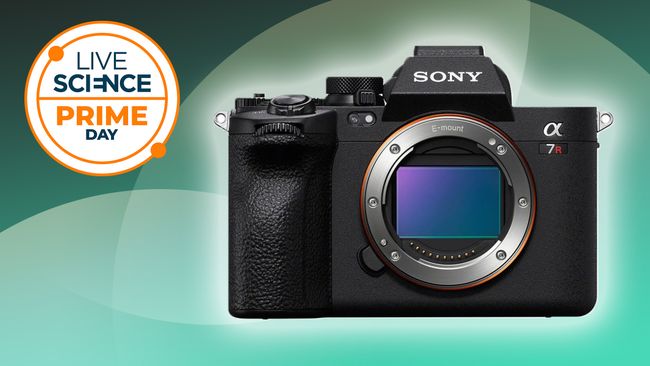 Biggest Anti-Prime Day deal we've seen: Huge Sony camera deal at ...