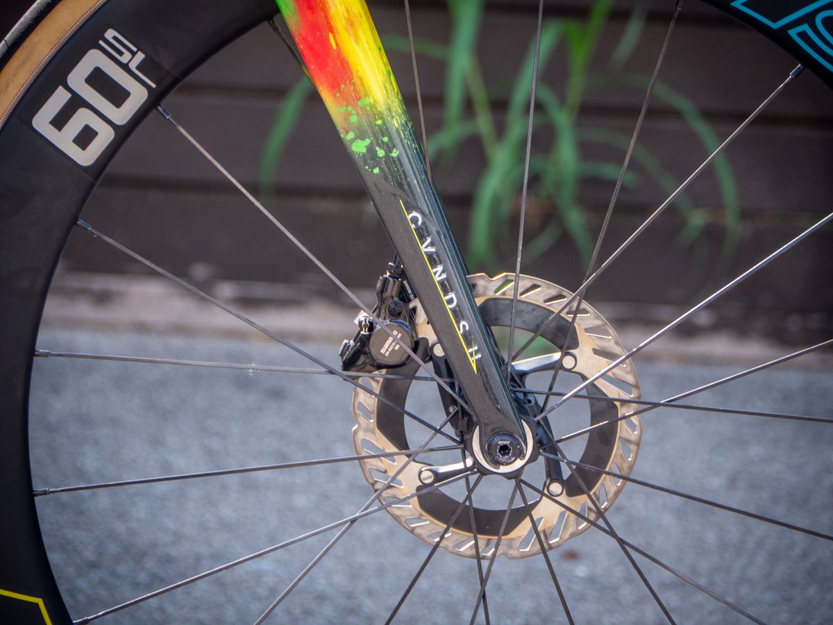 Up close and personal with Mark Cavendish's record breaking custom ...