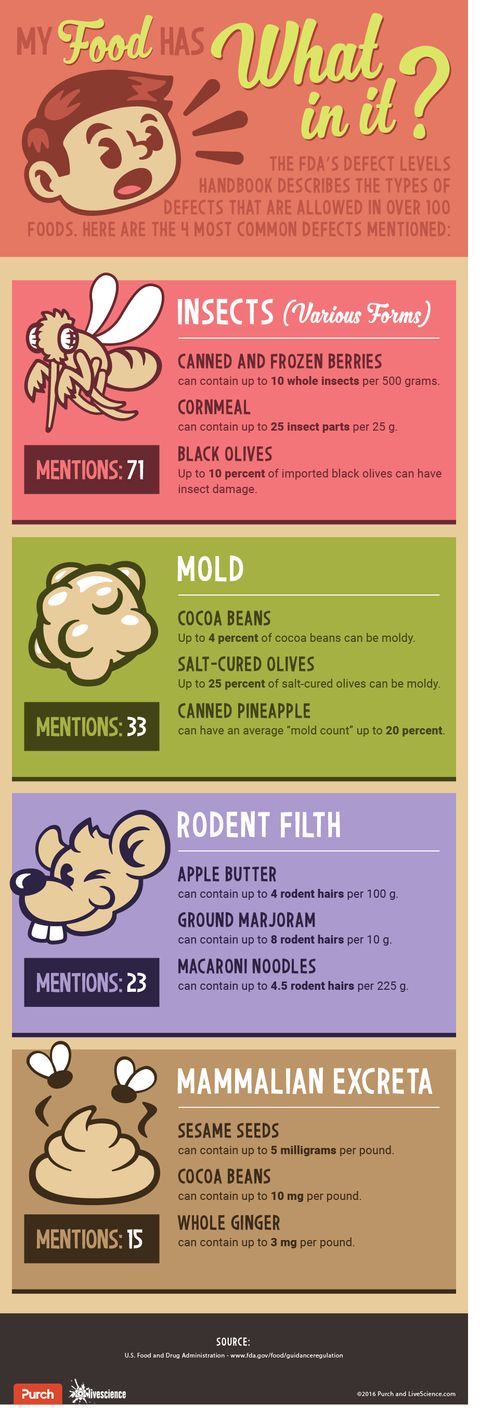 What's in Your Food? A Peek Under the Cover of the FDA's Handbook ...