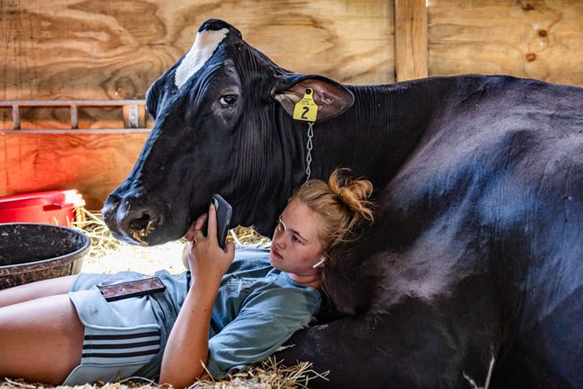 Best photography competitions to enter in March – July 2026: Share your ...