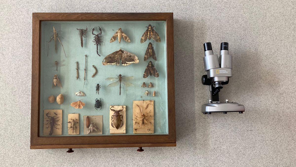 National Geographic Ultimate Dual Stereo Microscope review | Live Science