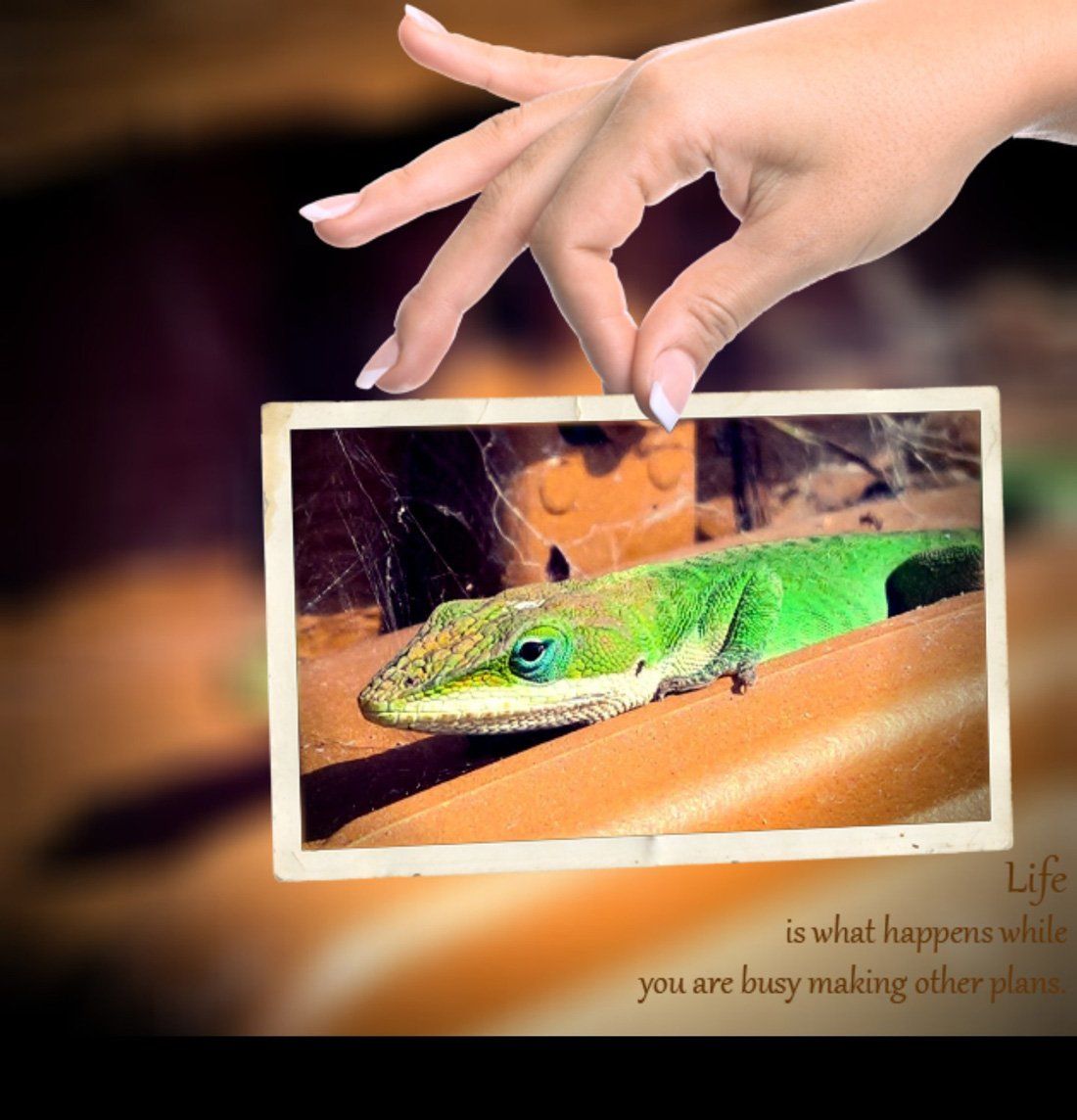 PIP Camera Effects, creative framing for your Windows photography ...