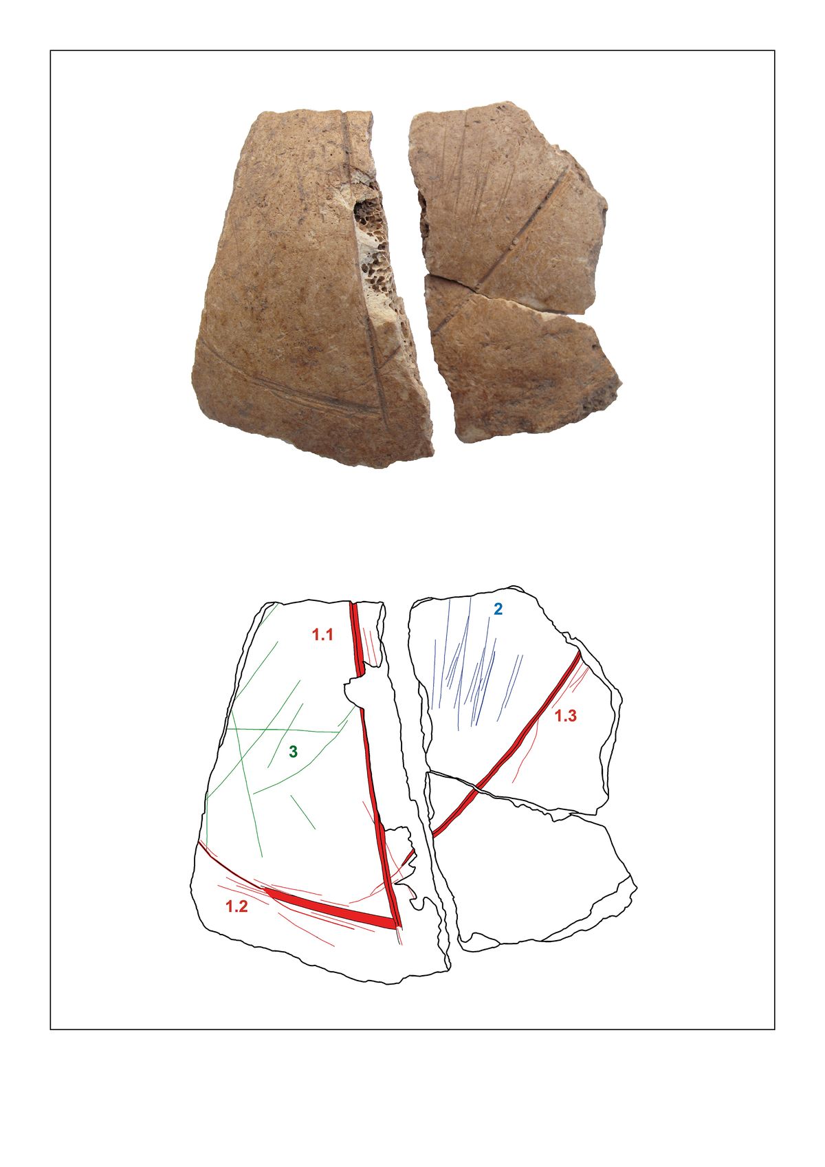 In Photos: Carved Human Skulls Discovered at Ritual Site | Live Science