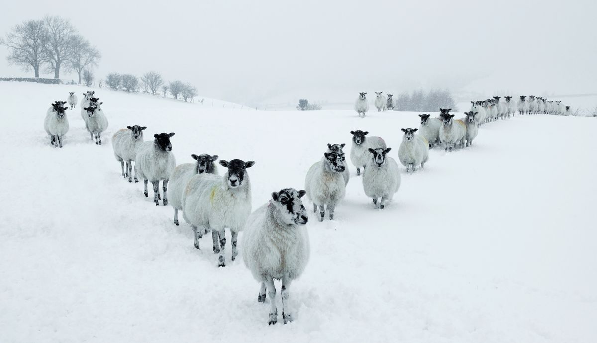 Eight spellbinding photographs celebrating the wonder and beauty of the ...