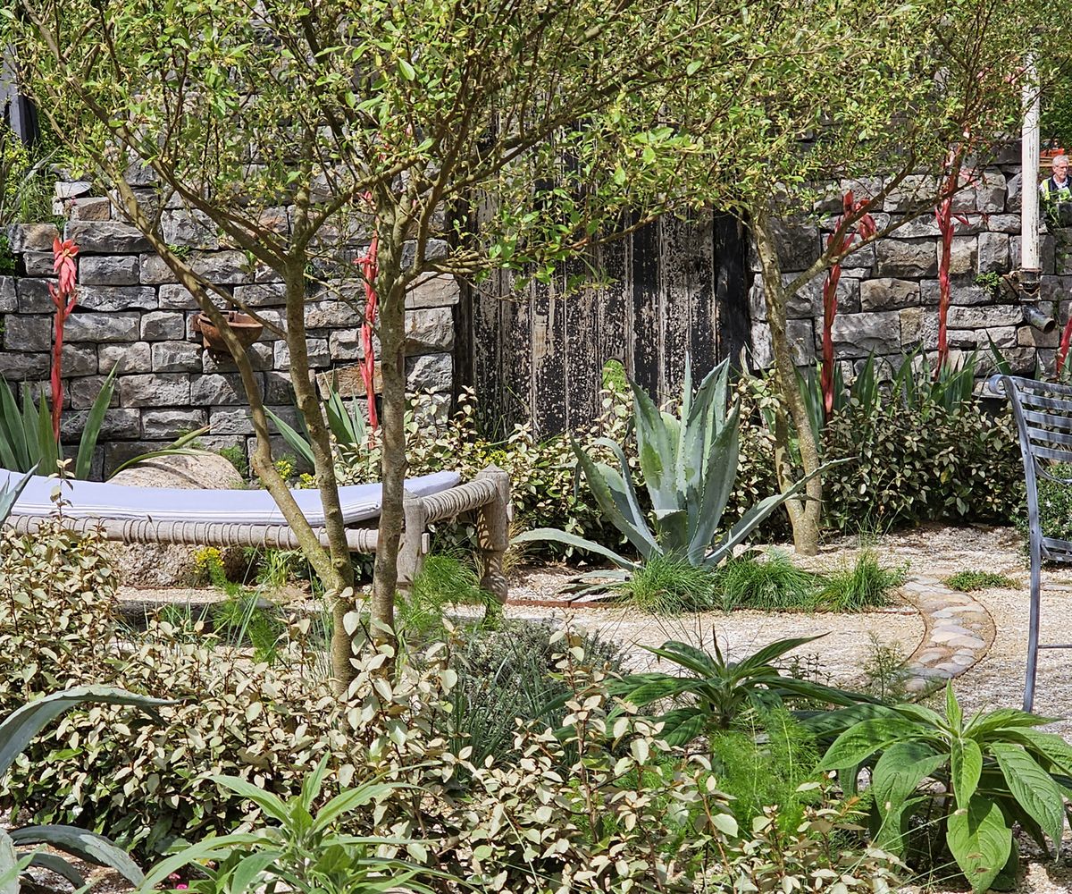 Mediterranean garden ideas: plants, design and materials | Homebuilding