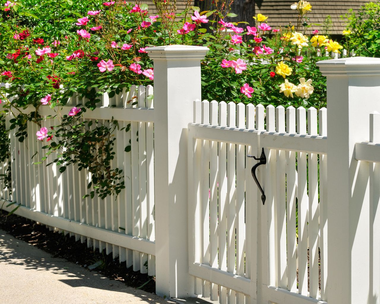 Garden fence color ideas: 14 on-trend tones | Gardeningetc