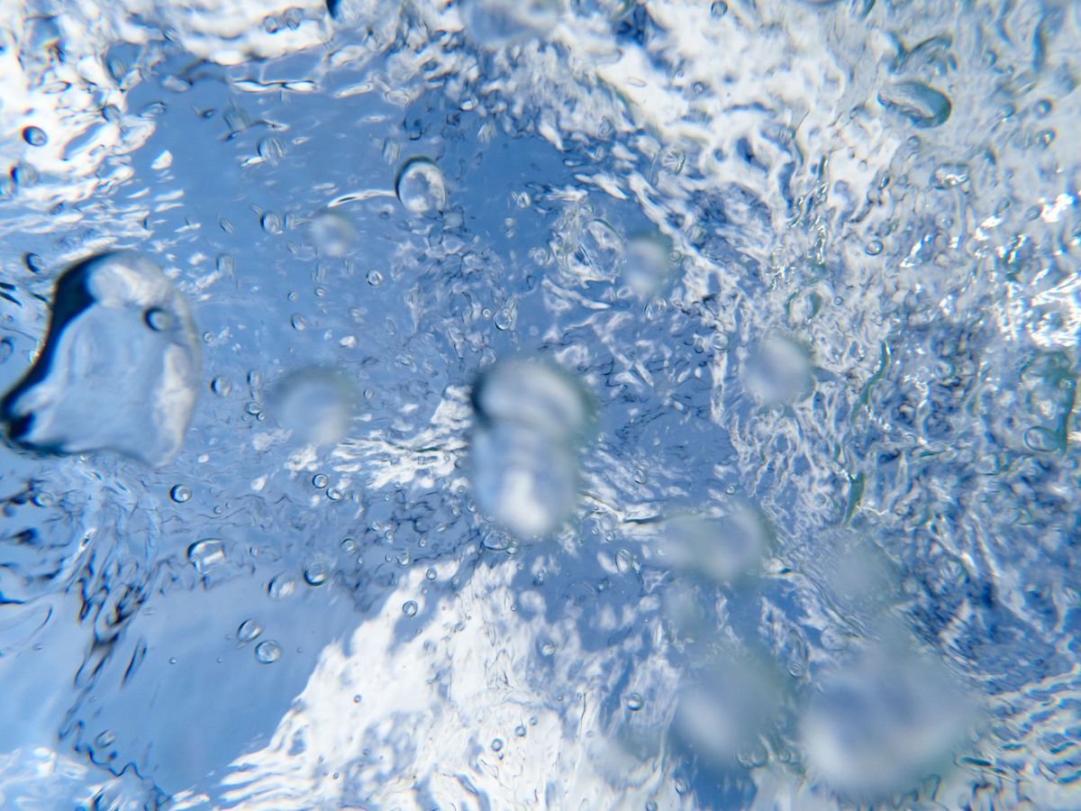 Some point-and-shoot cameras are surprisingly good at macro photography ...