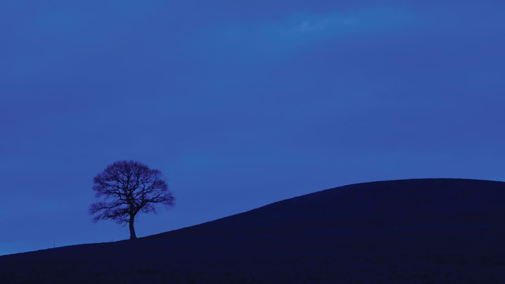 26 camera effects – from A to Z | Digital Camera World