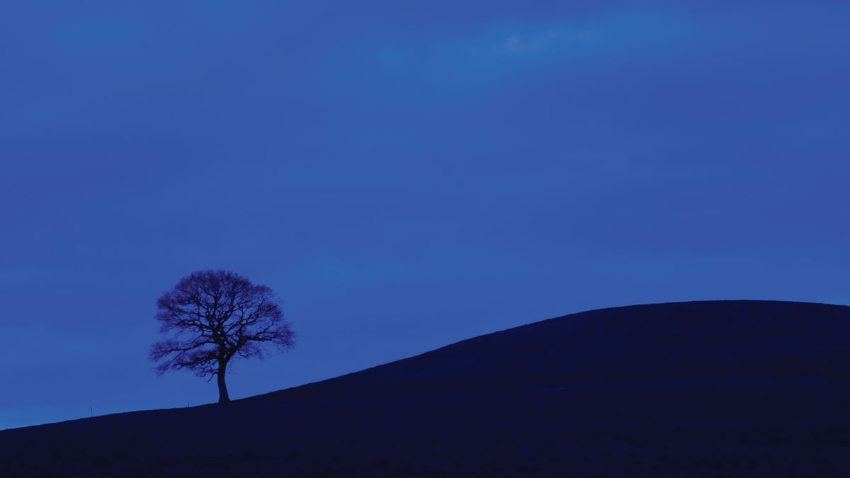 26 camera effects – from A to Z | Digital Camera World