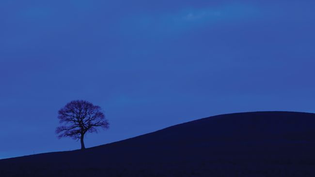 26 camera effects – from A to Z | Digital Camera World