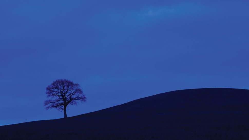 26 camera effects – from A to Z | Digital Camera World