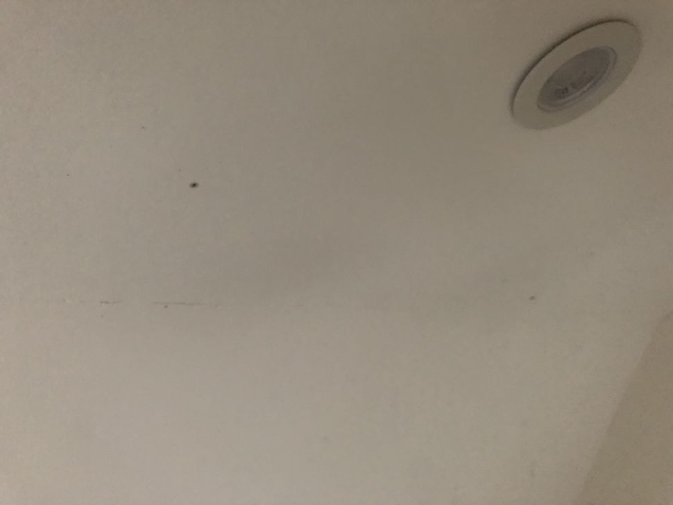 How to clean mould off ceilings: 3 easy solutions | Homebuilding