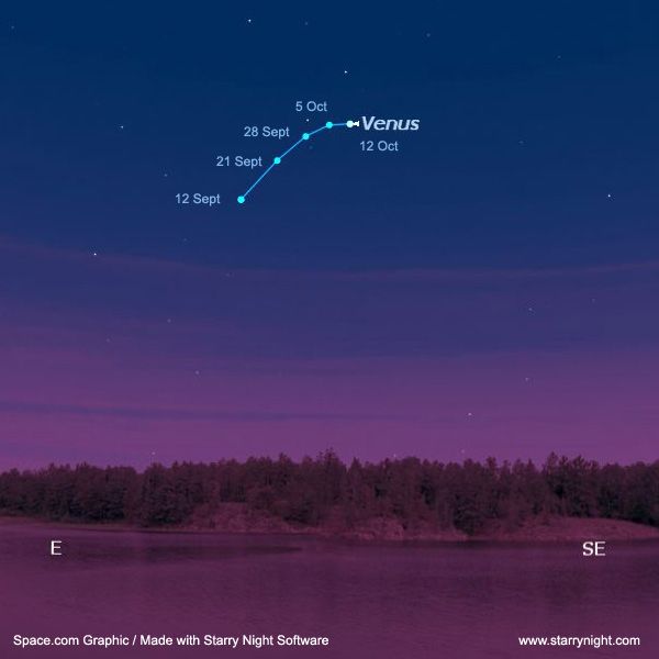 Brilliant Venus: Spot the Morning Beacon | Space