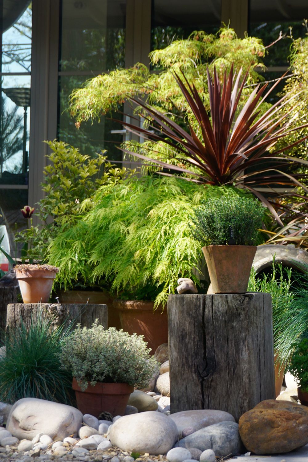 Best trees for small gardens – 8 varieties that thrive in a tiny space ...