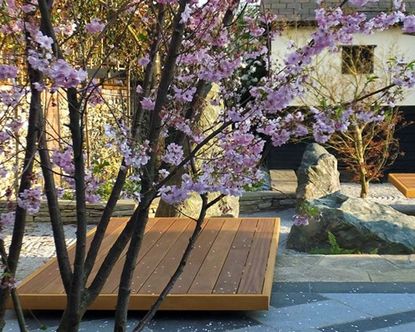 Landscape experts share the secrets to creating an urban Zen garden ...
