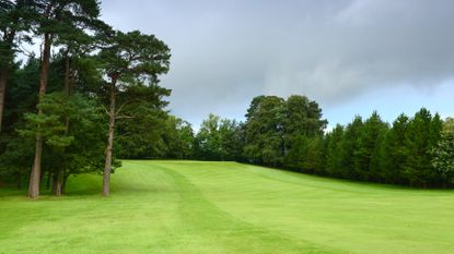 Moyola Park Golf Club Course Review | Golf Monthly