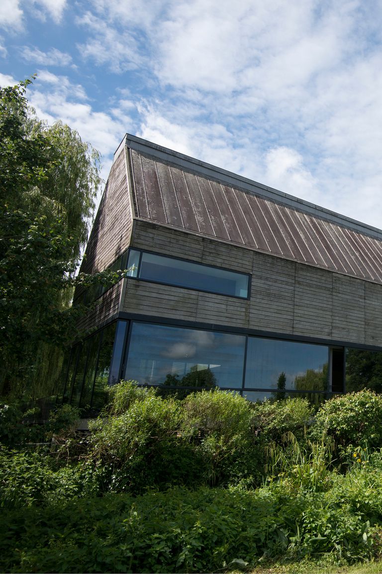 SEE WILLIAM MORRIS IN A NEW LIGHT