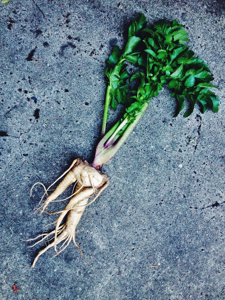 Mandragora Plant Info: Are There Different Types Of Mandrake Plants ...