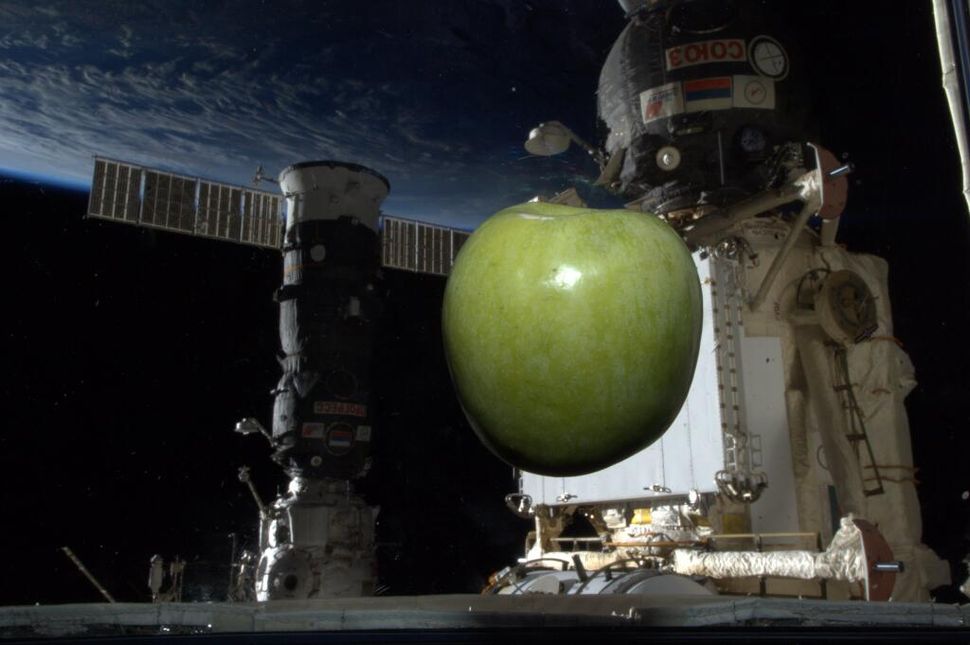 Amazing Space Photos by Japanese Astronaut Koichi Wakata in Orbit | Space