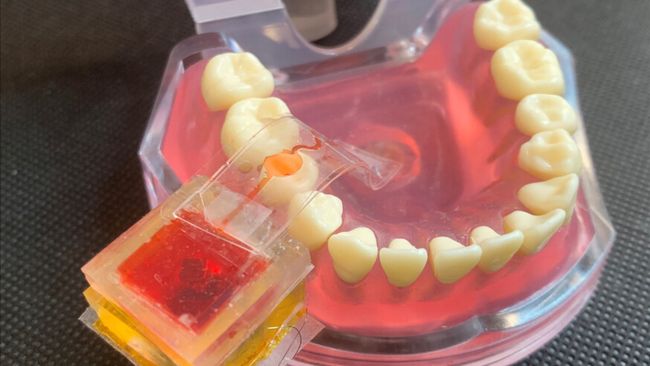 Microsoft unveils wearable holograms in Project X-Ray for HoloLens | PC ...