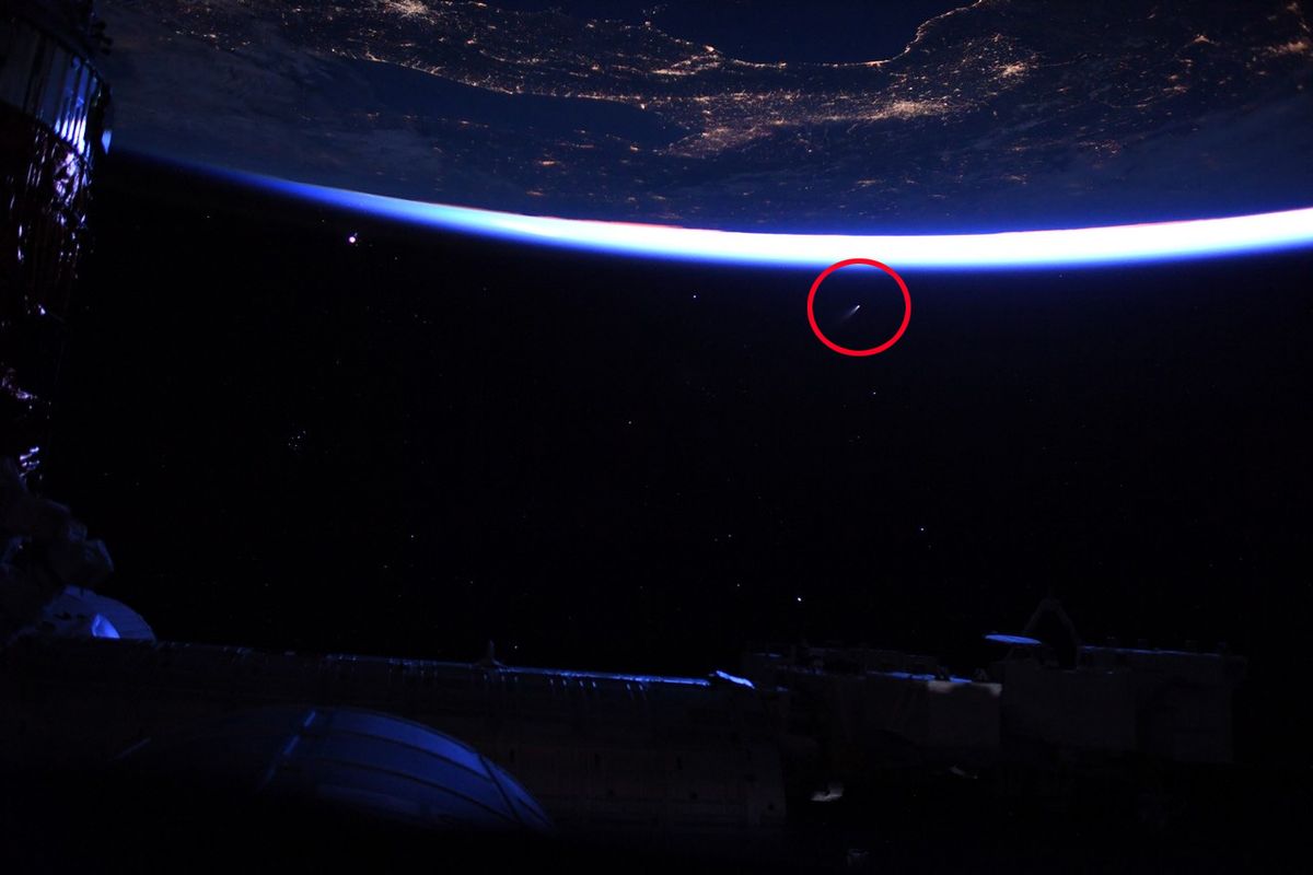 Comet NEOWISE shines in stunning photos from the International Space ...