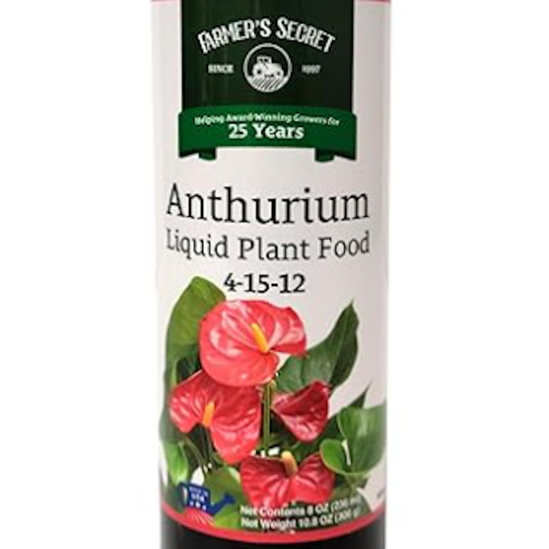 How to fertilize anthuriums for more glorious blooms | Homes and Gardens