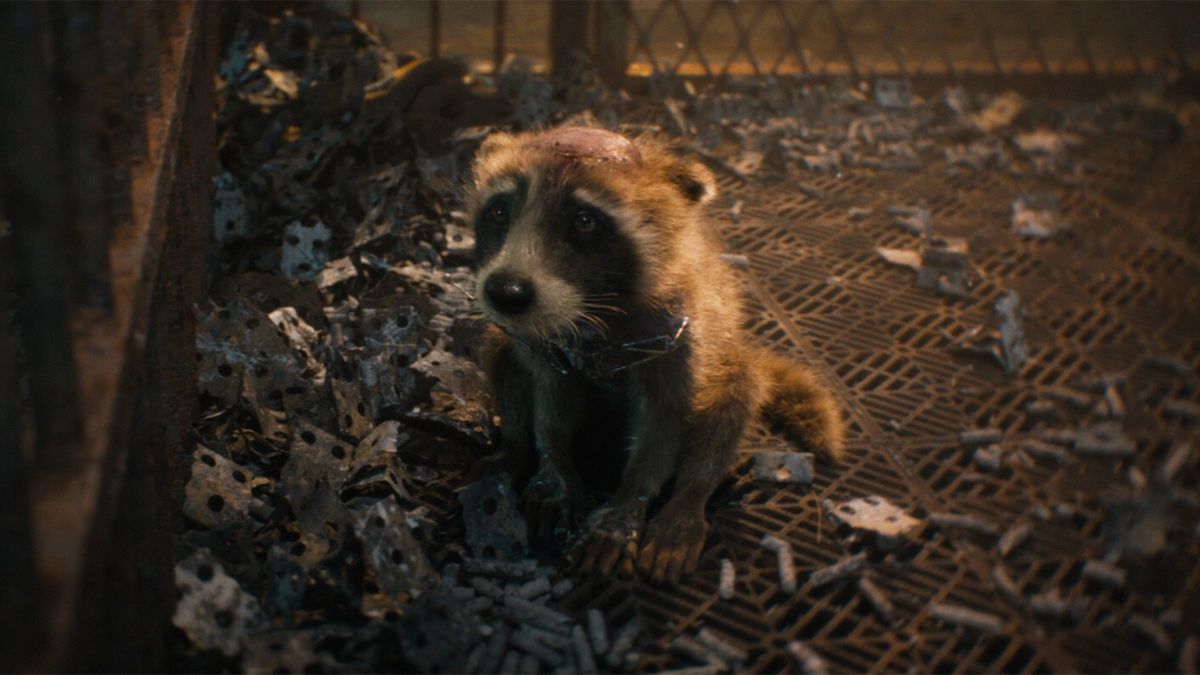 Guardians Of The Galaxy Vol. 3: 11 Great Behind-The-Scenes Facts About ...