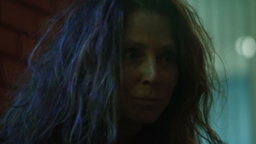 Dog Gone Cast: Where You've Seen The Stars Of Netflix's New Dog Movie ...