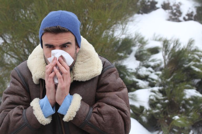 Seasonal Plant Allergies: Learn About Plants That Trigger Winter ...