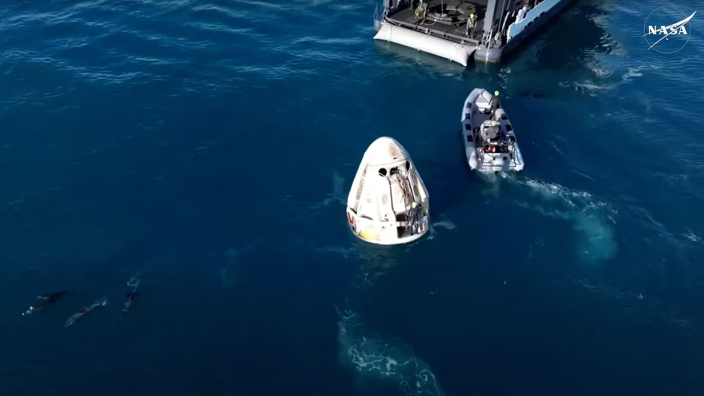 Dolphins welcome SpaceX's Crew-9 astronauts home after splashdown ...