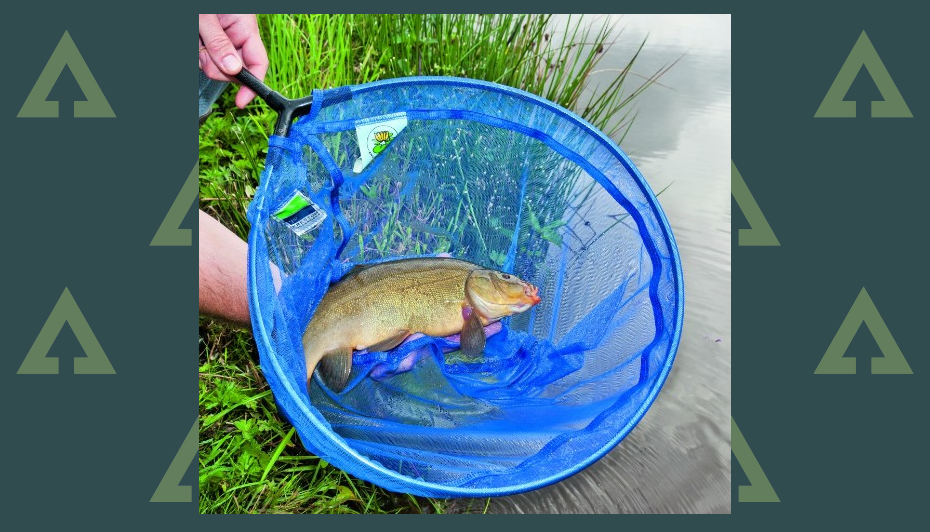 How to use the best fishing landing nets | Advnture