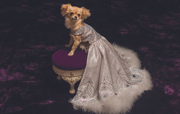 The World’s Most Expensive Presents | What to Watch