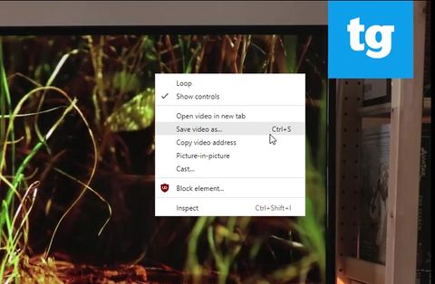 How to download YouTube videos on iOS, Android, Mac and PC | Tom's Guide