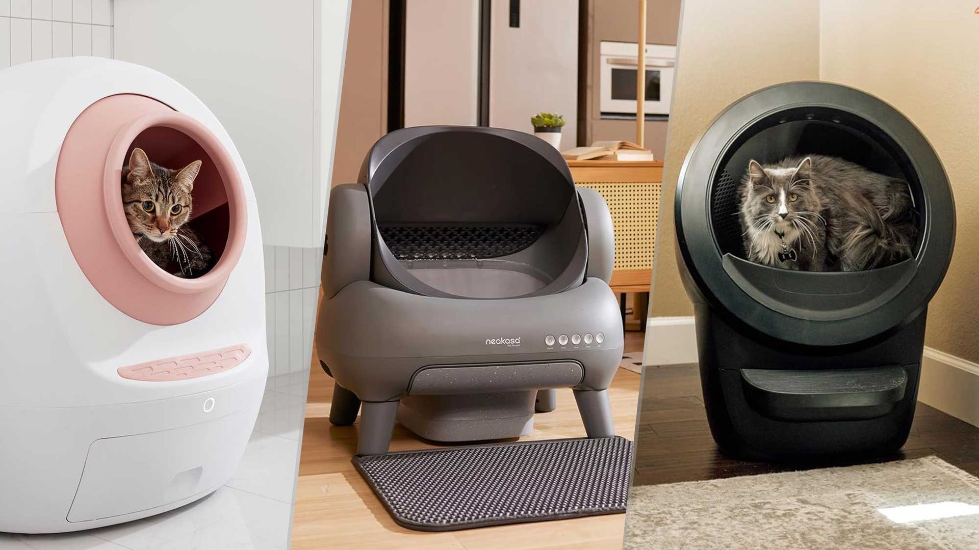 I asked cats to test these robotic litter boxes — here's the ones they ...