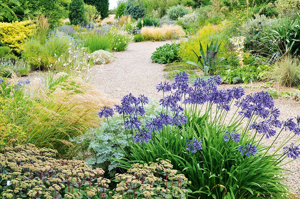 13 ways to create an eco-friendly garden | Real Homes